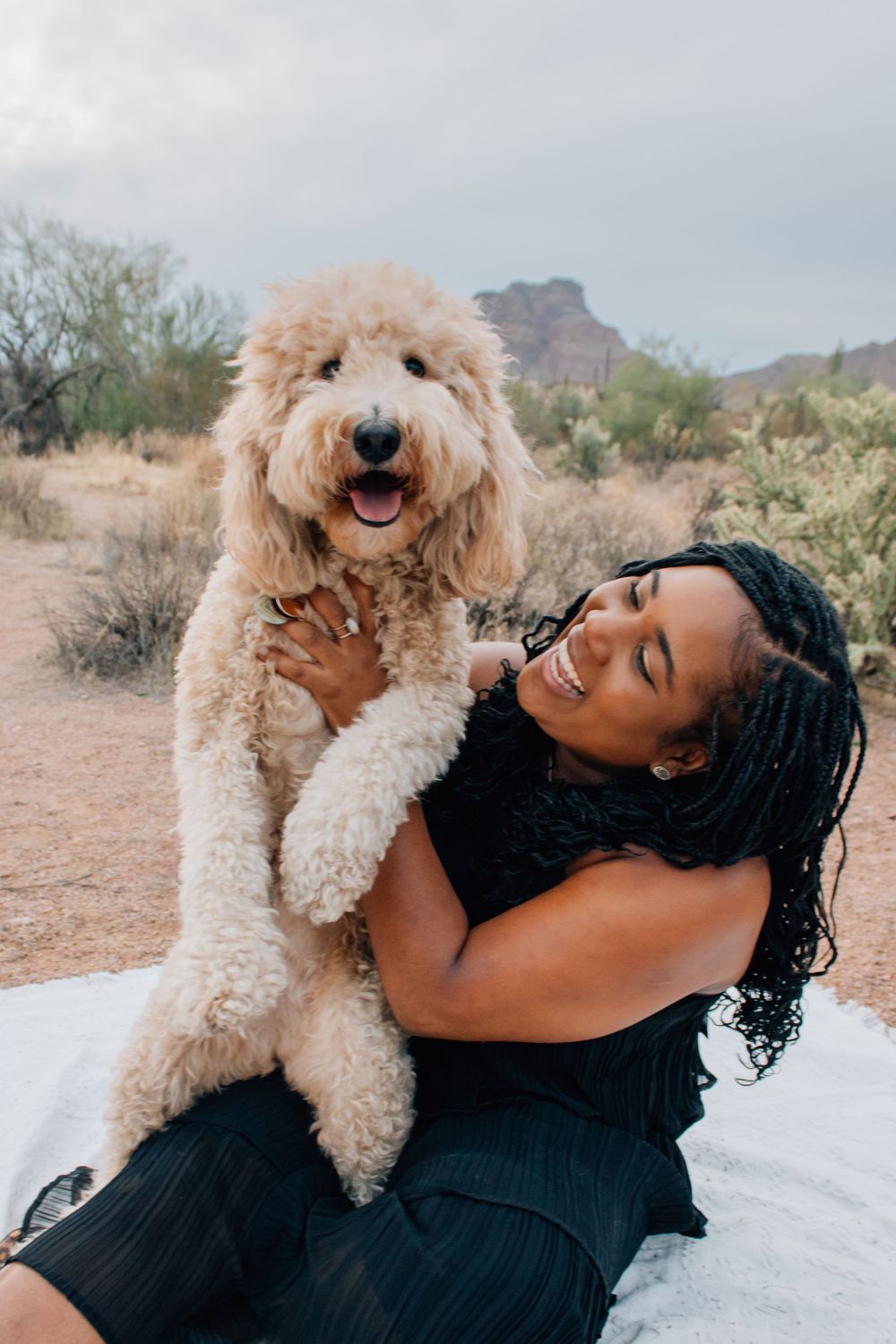 How to Prepare for a Photo Session with Your Pet - ivygrayphoto