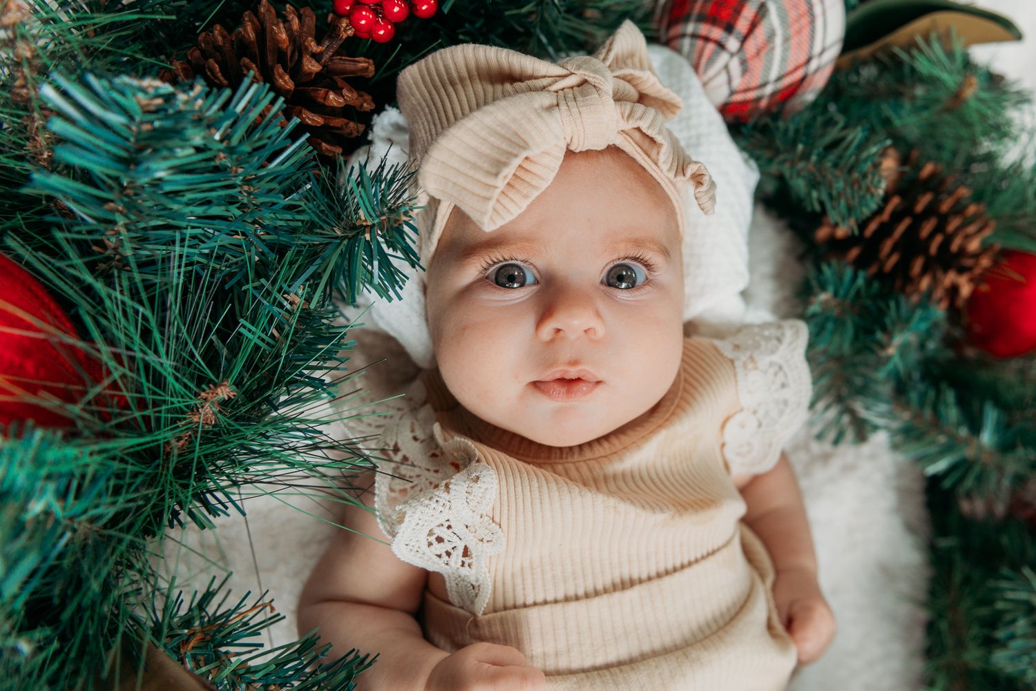 Rustic Modern Christmas Mini Portrait Set-up - Take Heart Images ...