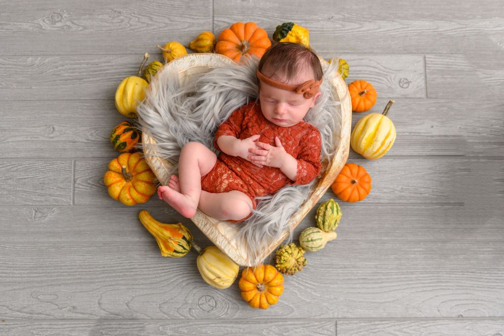 Welcome Kaylee! - Special Occasions by Rose Photography