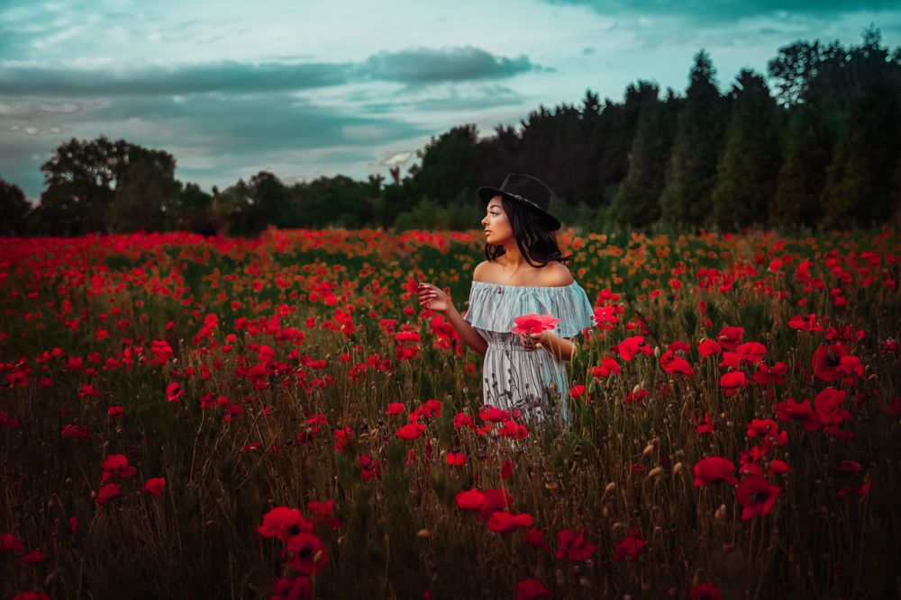 Poppy Field Session + Raleigh, NC Photographer - One Split Pea ...