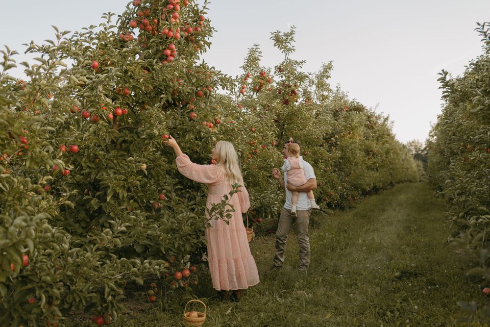 DENAULT FAMILY - Samantha McFanin Photo