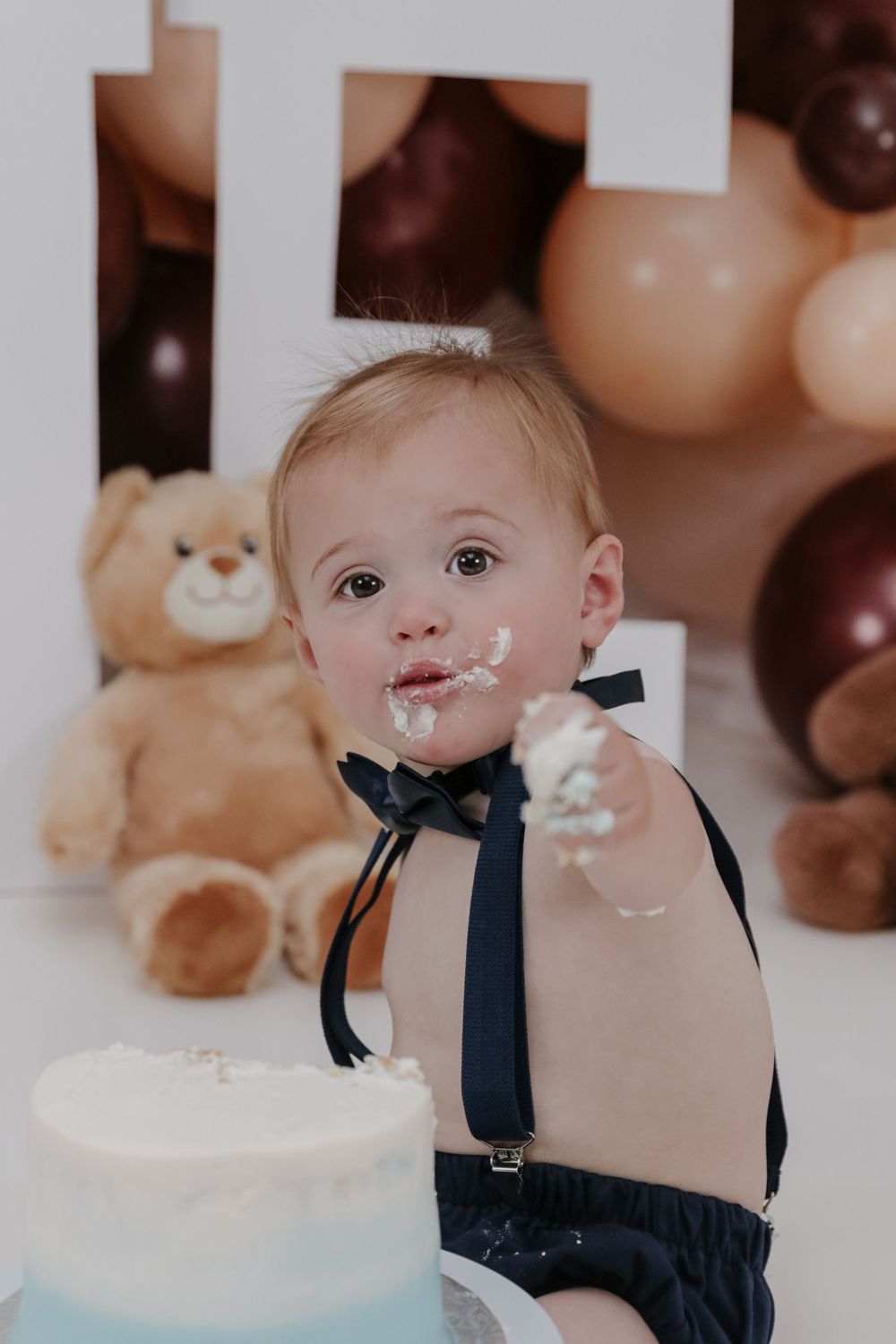 Lucas's Teddy Bear Picnic Cake Smash