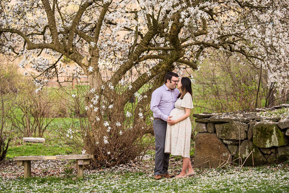 Spring Locations for Connecticut Family Photos - Liz Newman ...