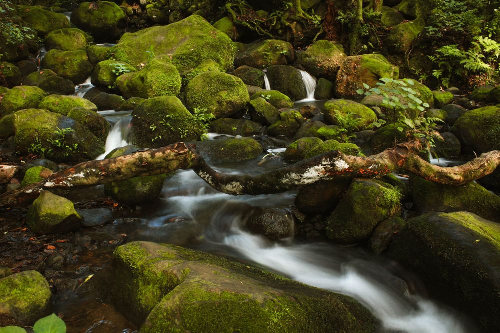 Auckland's Six Highest Waterfalls to Explore - Selena Wright Creative
