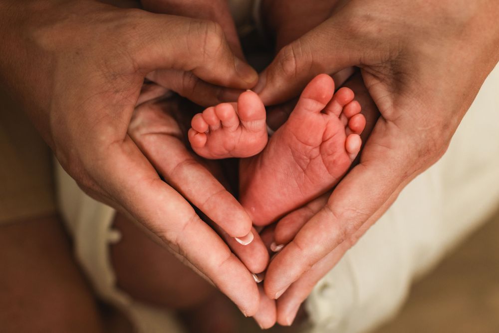 2 Week Old Newborn Session | The Littlest Bean | Tampa Family ...
