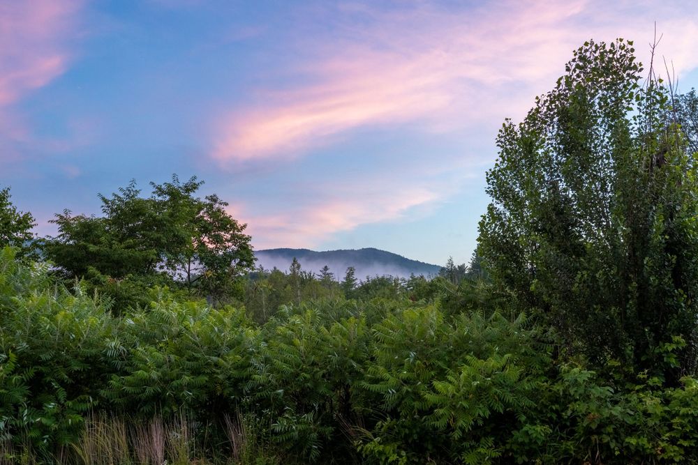 Mastering the Art of Landscape Photography: Tips for Capturing ...