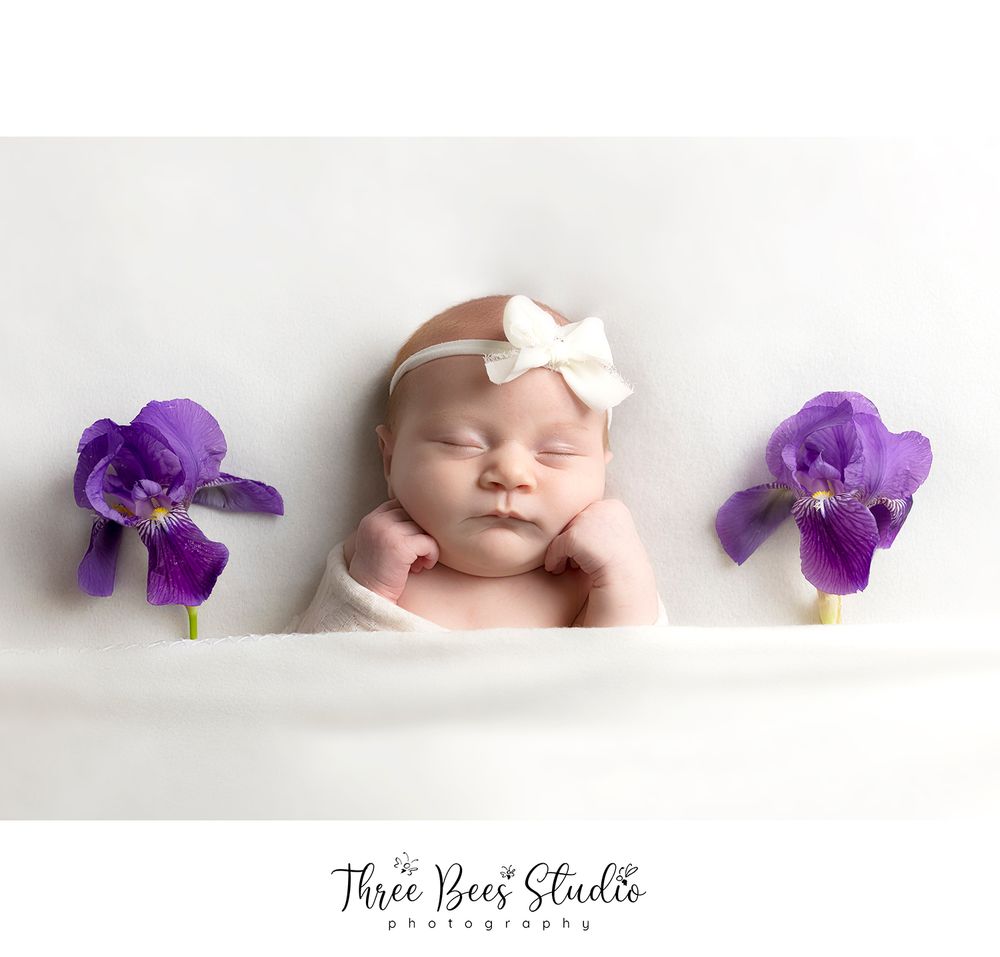 NEWBORN SESSIONS UPDATE! - Three Bees Studio Photography ~ Quinte and ...