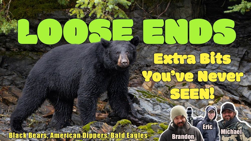 Loose Ends = Extra Bits You've Never Seen - Daybreak Media | Denver Video & Photography for ...