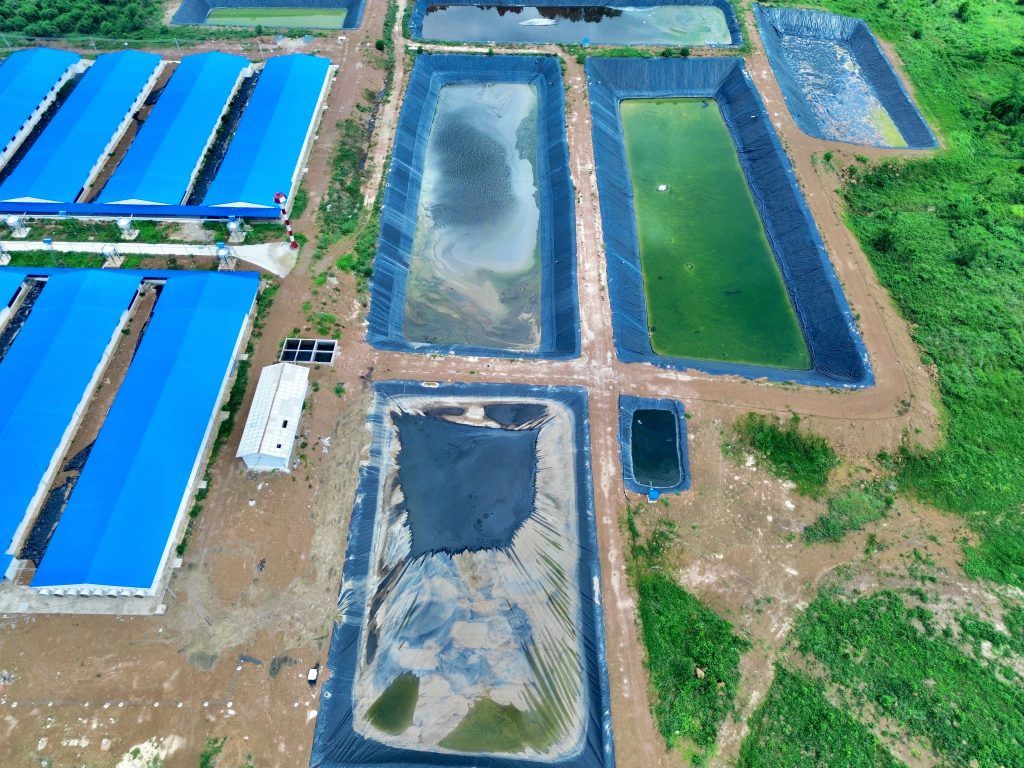 6 bước thi công Biogas đúng chuẩn đạt hiệu quả kinh tế - Bông Sen Vàng ...