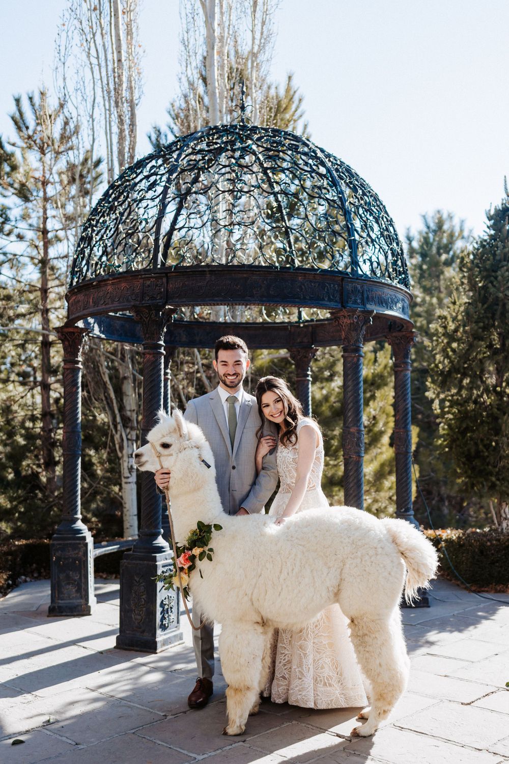 Alpaca Styled Shoot with Sleepy Ridge Weddings - Peppergrass Ranch