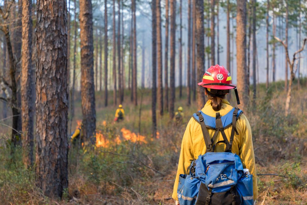 US Forest Service Controlled Burn - Carter Photography & Design