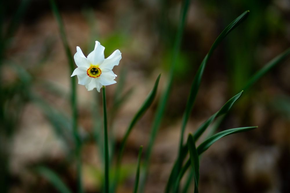 2023 and me! - S. Lapointe Photography