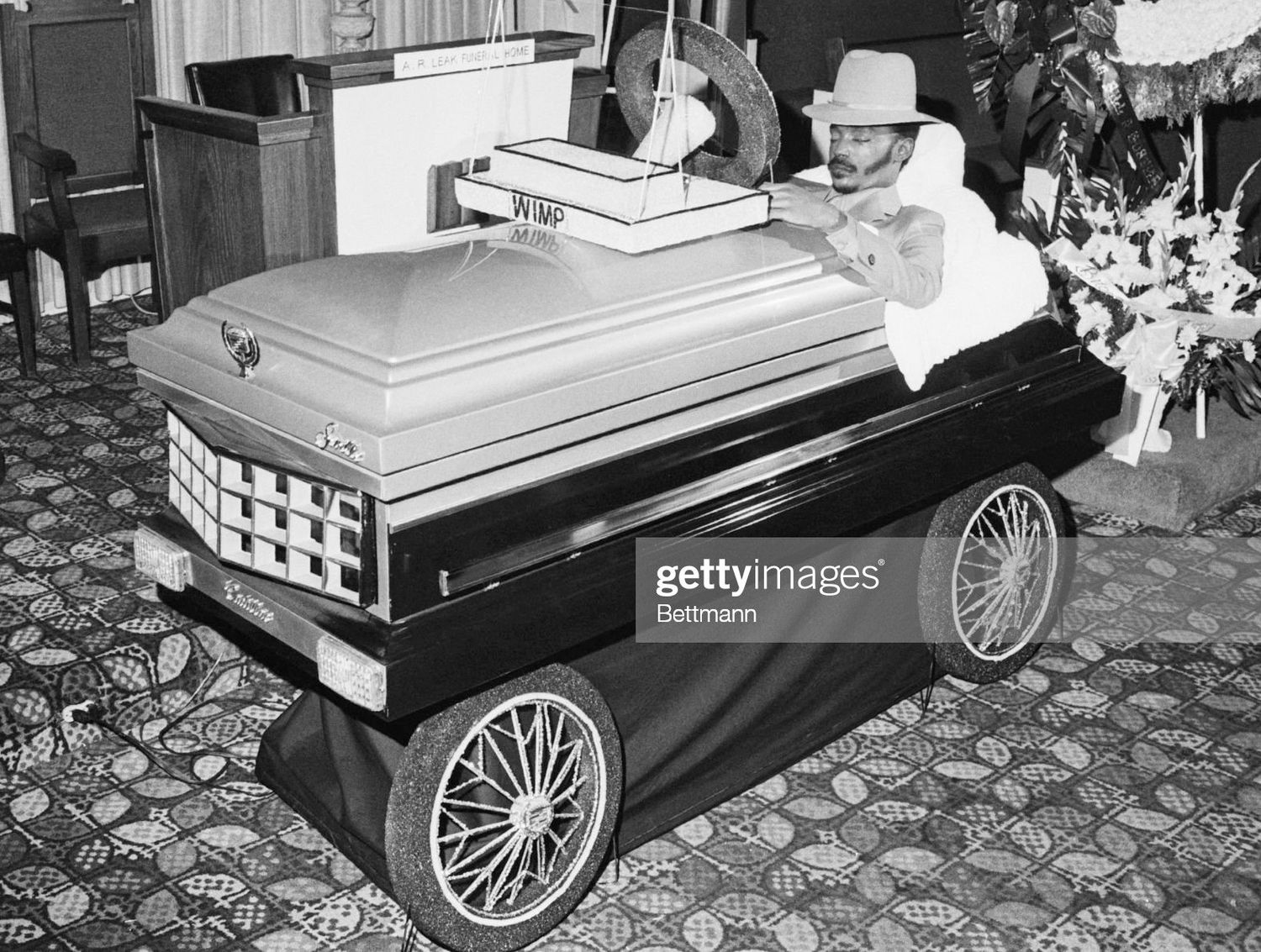 Willie The Wimp - Nikki Kellogg Photography