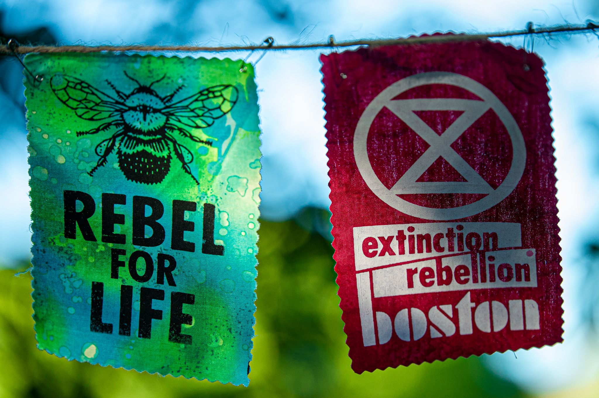 Extinction Rebellion Boston Disrupts Morning Commute, Takes Over Evelyn ...