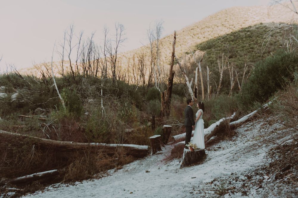 The Ultimate Guide to Eloping in Big Sur, California - Destination ...