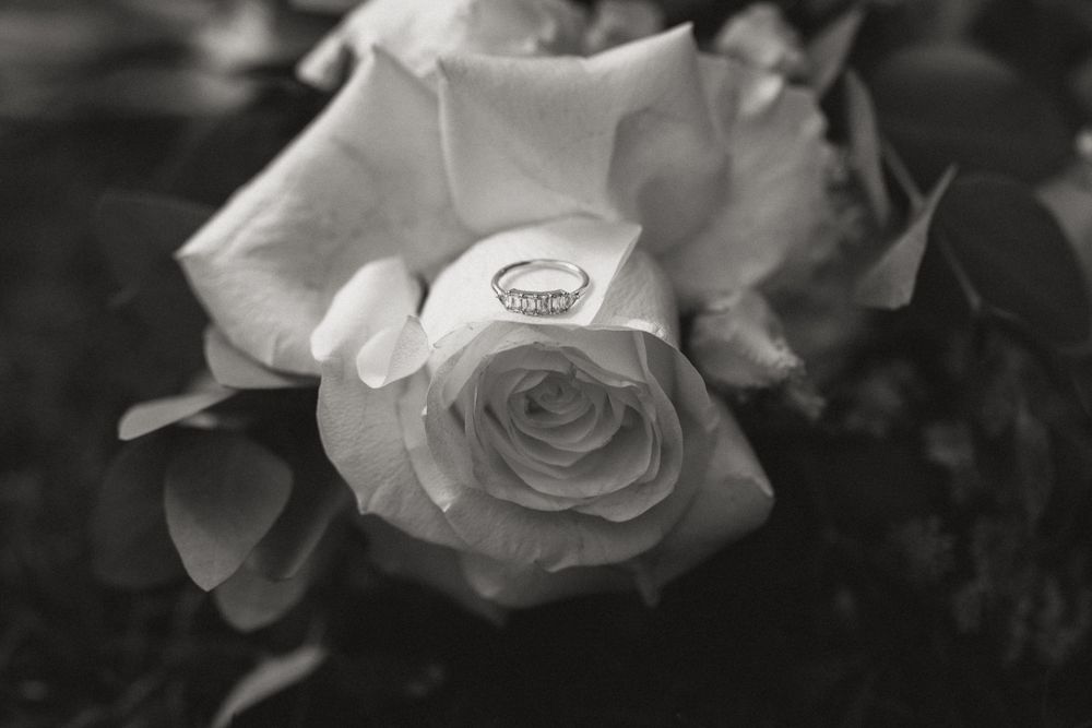 Michael & Ketz elope in Tassie - Joss Jensen Photography