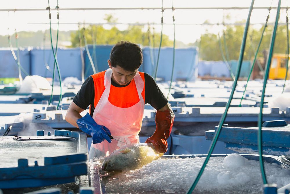 HD Barra - GEORGE F Photography