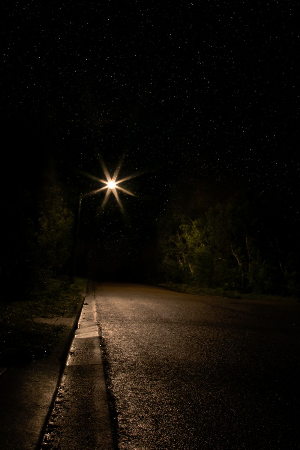 After Dark - Green Bird Photography