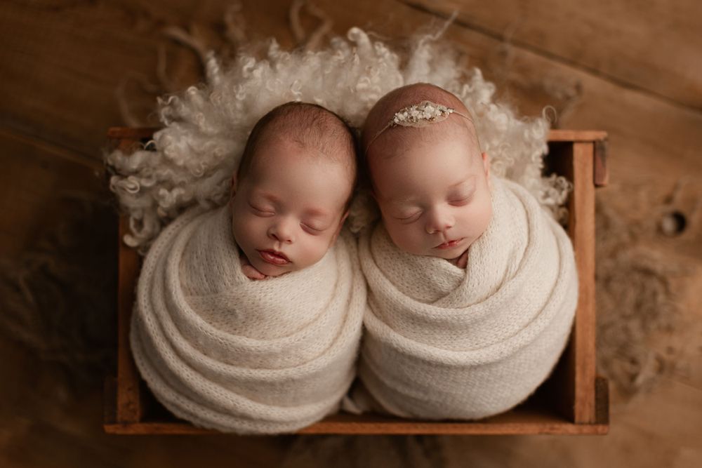 Are You Looking for a Calgary Twin Newborn Photographer? - Elle R ...