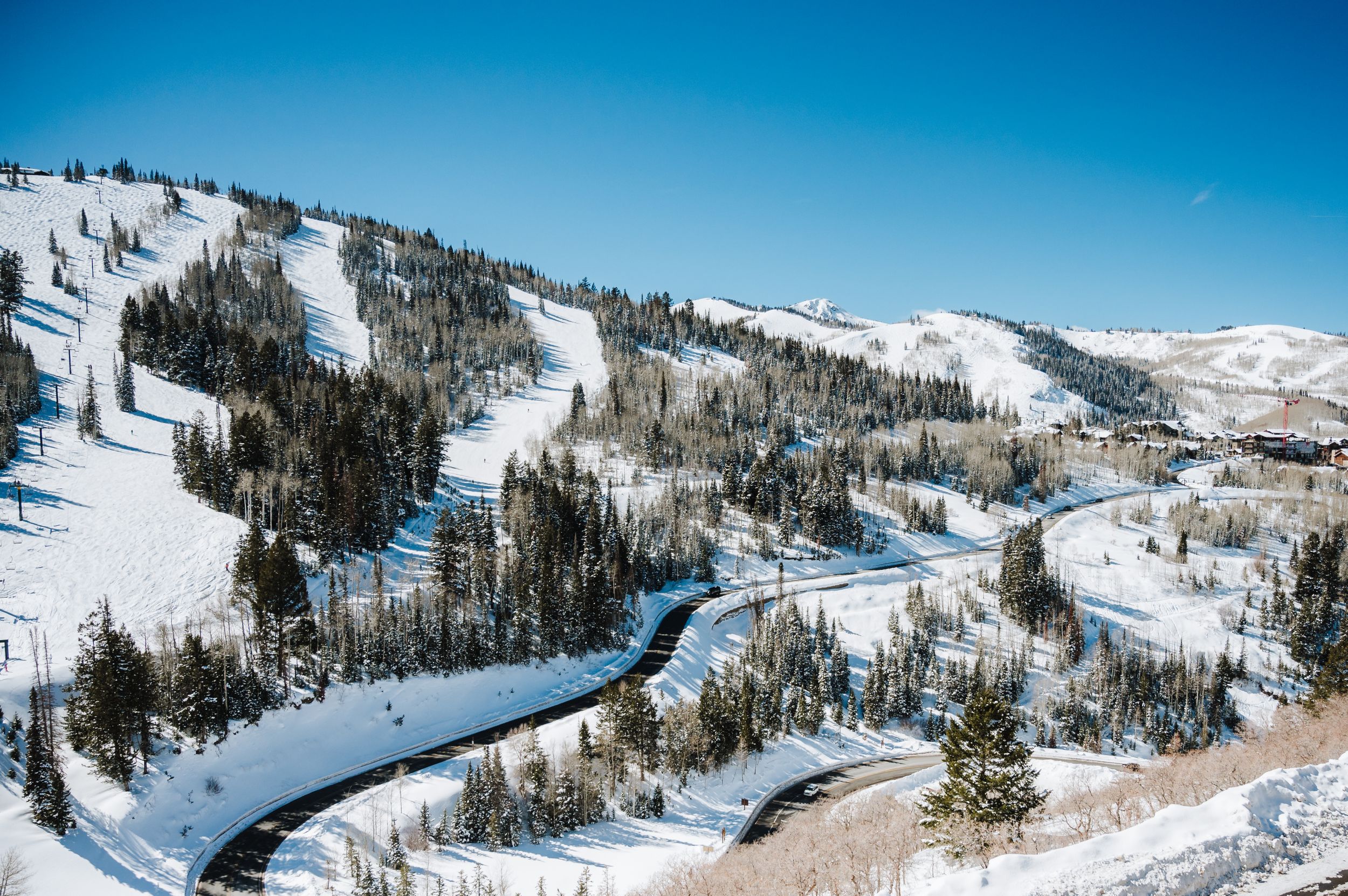 Sarah Severson Photography