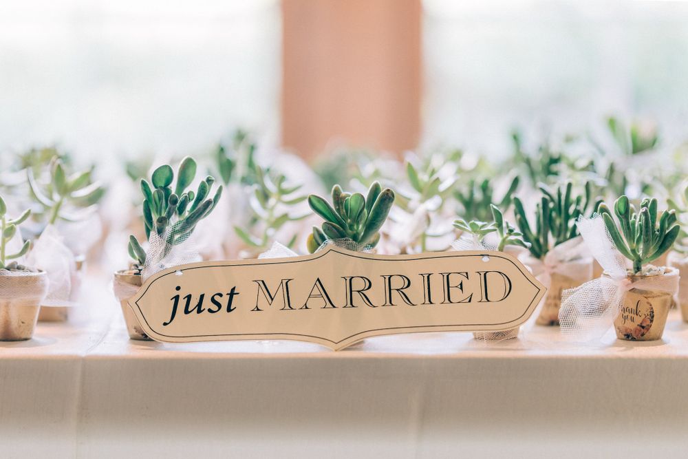 how-long-should-it-take-to-get-your-wedding-photos-back-rhode-island