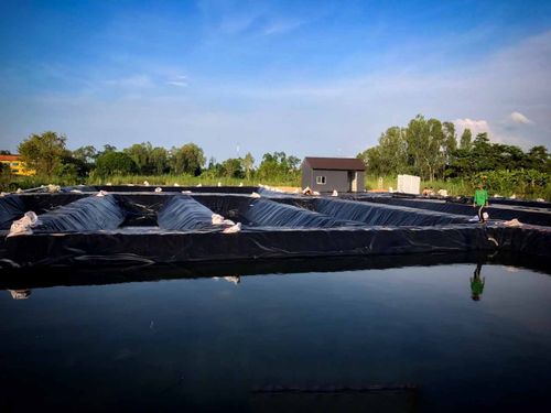 Tìm hiểu sản phẩm màng hdpe nhập khẩu có ưu điểm gì khác biệt - Bông ...