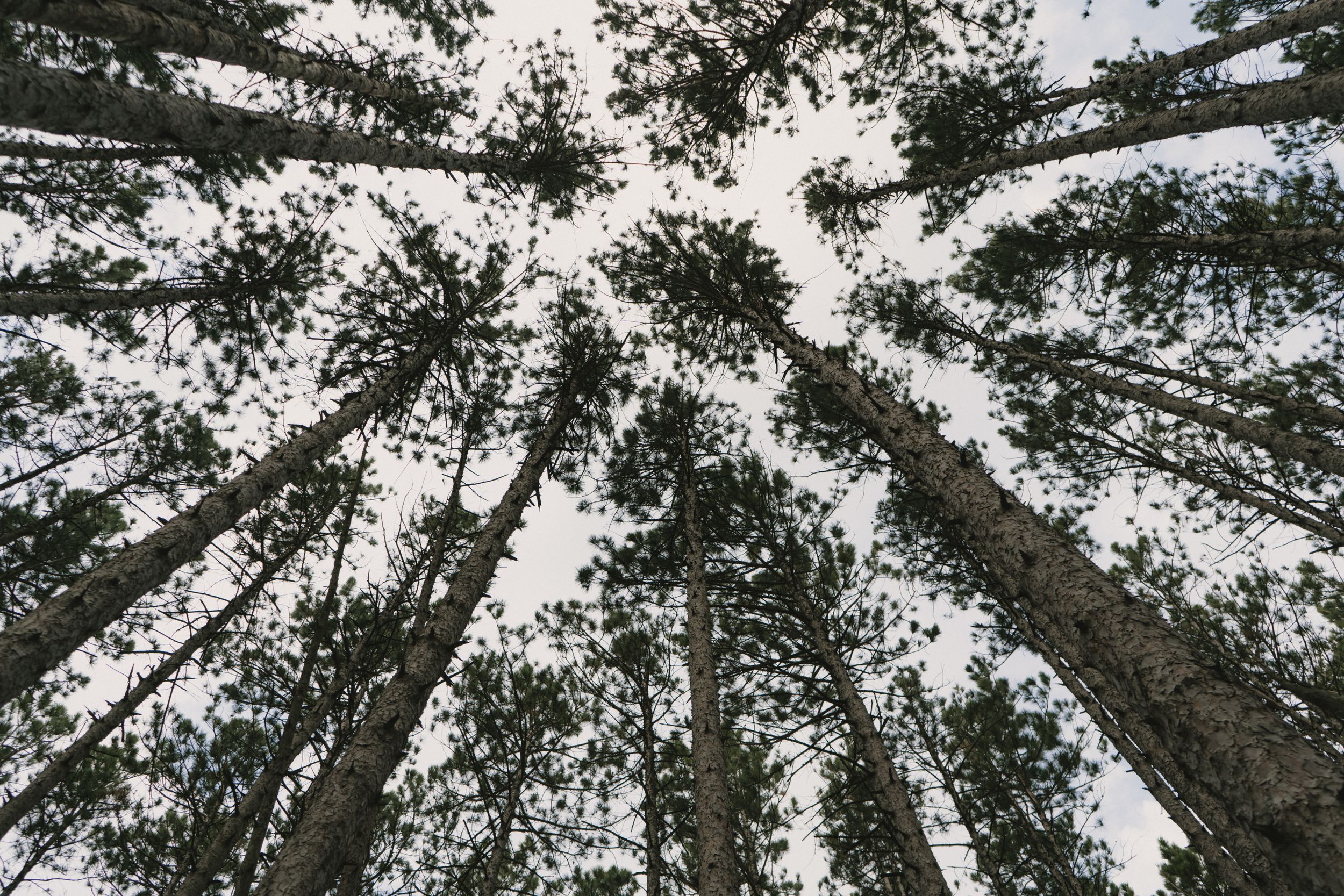 Christina Rhodes Photography