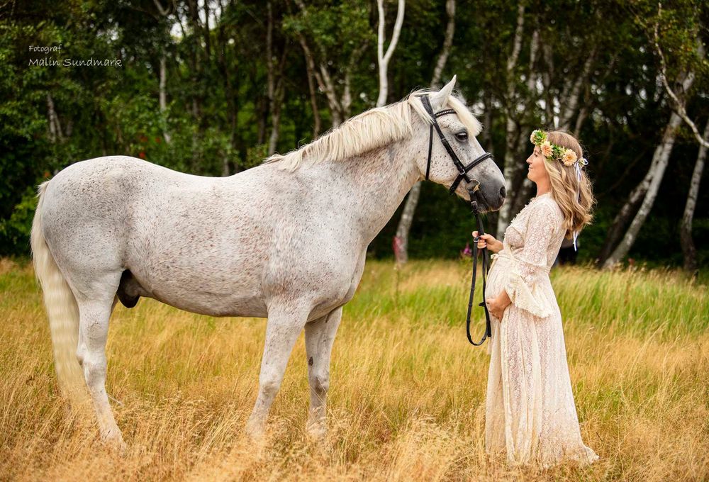 Söker gravidmodell - Fotograf Malin Sundmark