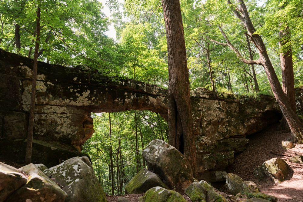 Sewanee TN Trip 2023 - M.Hewitt Photo Services