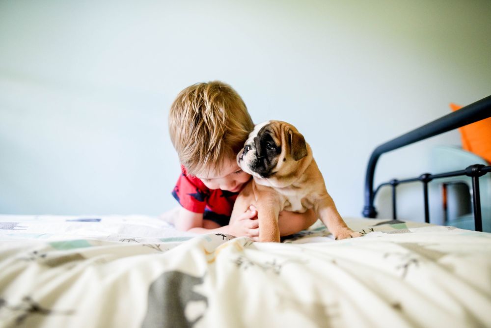 Une nouvelle recrue - SYLVIANE ROBINI PHOTOGRAPHE