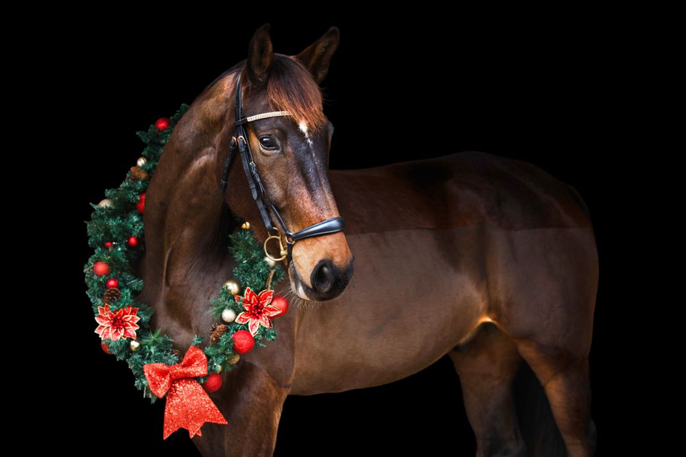 BLACK BACKGROUND SESSION GUIDE - Tara Kaine Photography