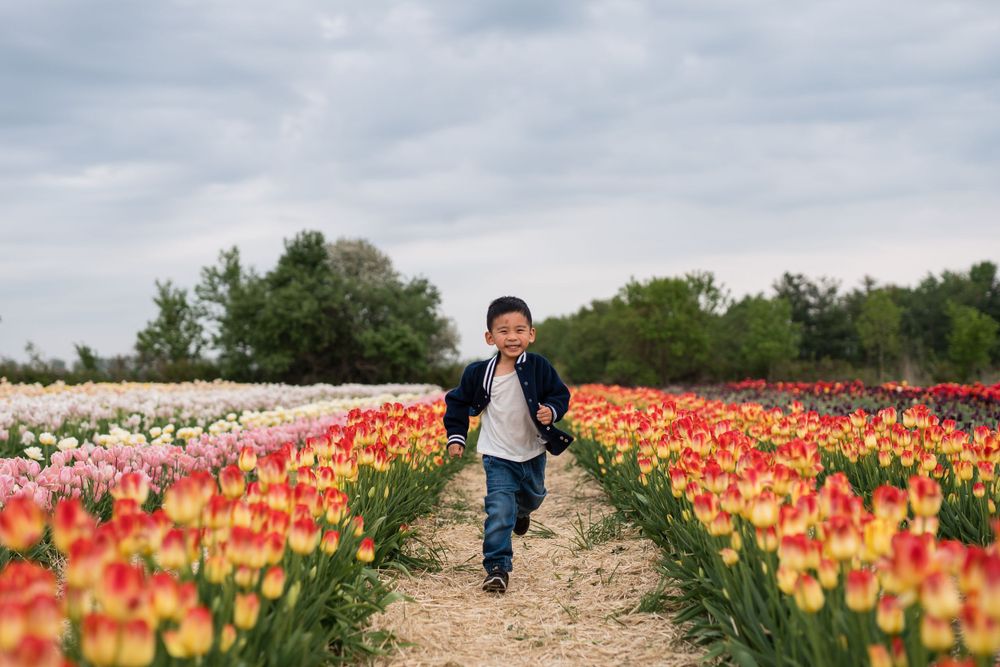 How to have a super smooth mini session this spring in Ottawa with even ...