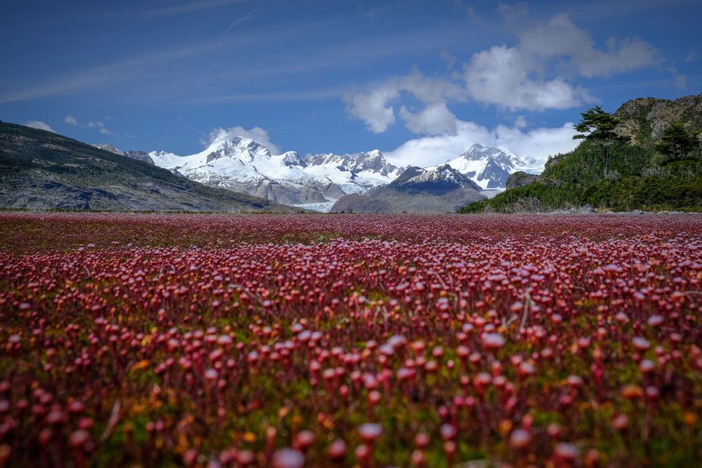 Best time to visit Patagonia - Alex Maureira Photographer and Guide
