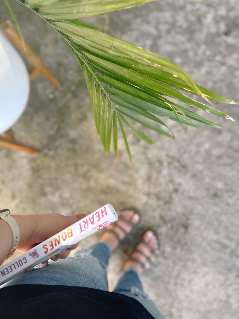 BOOK REVIEW: Heart Bones by Colleen Hoover - Shelby Creates Things