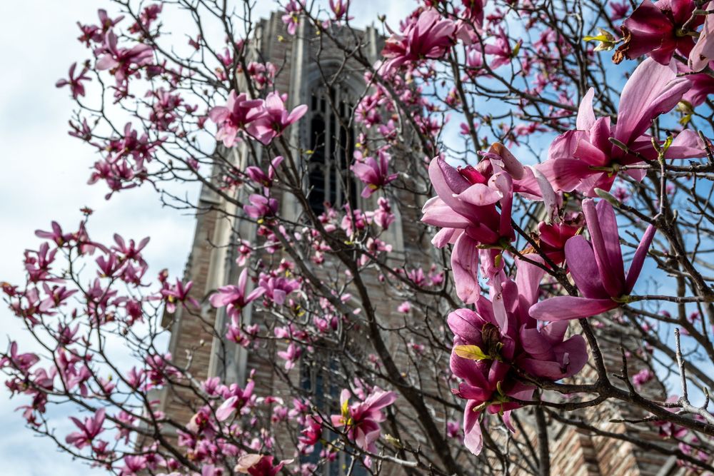 Early Spring at the Seminary - Kati Q. Photography