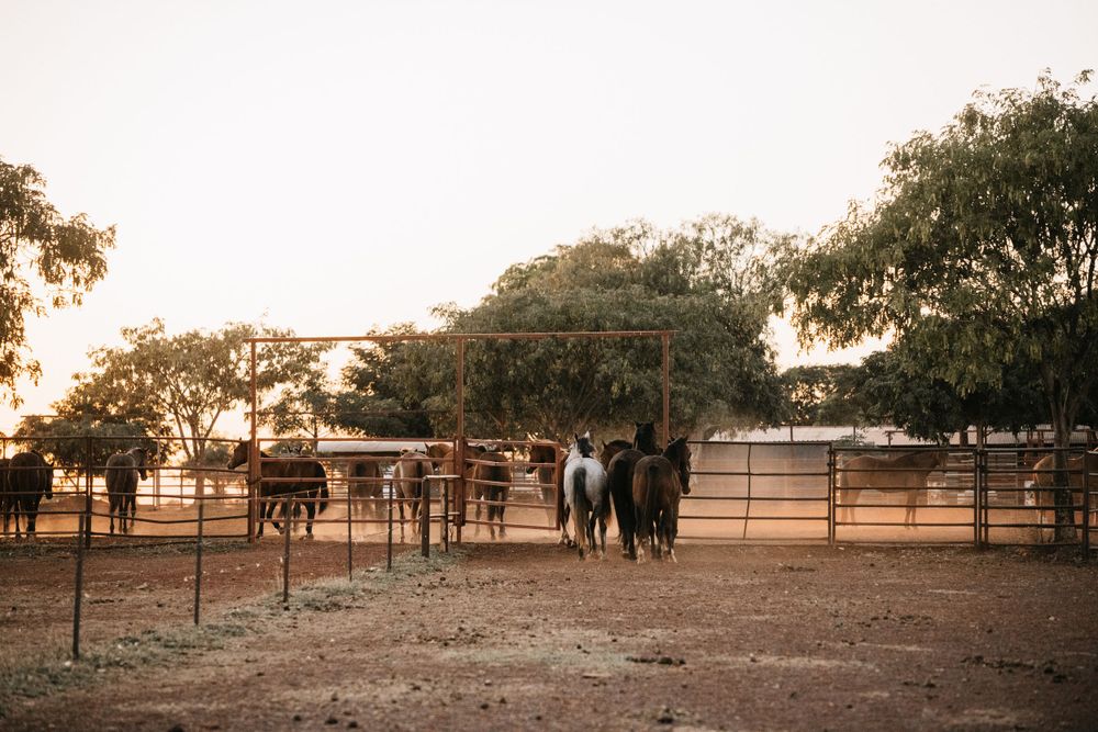 LIFE ON A STATION - Jaz Stewart Photography