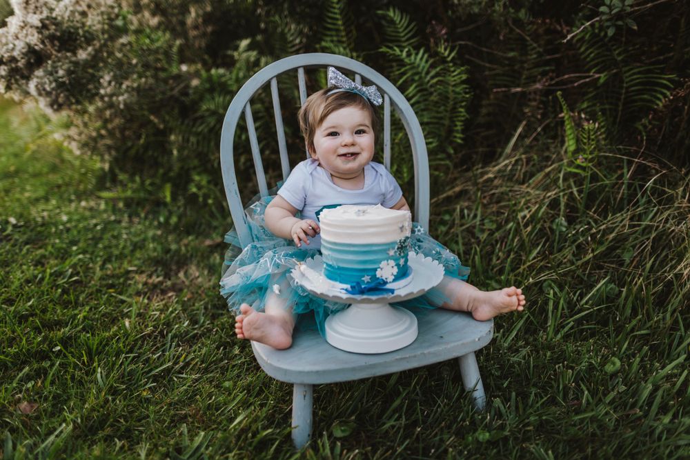 Ella's Frozen 1st Birthday Photo Session in Land O Lakes - DigitalMyst ...