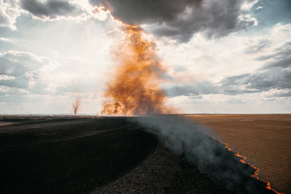FIRE SEASON - Jaz Stewart Photography