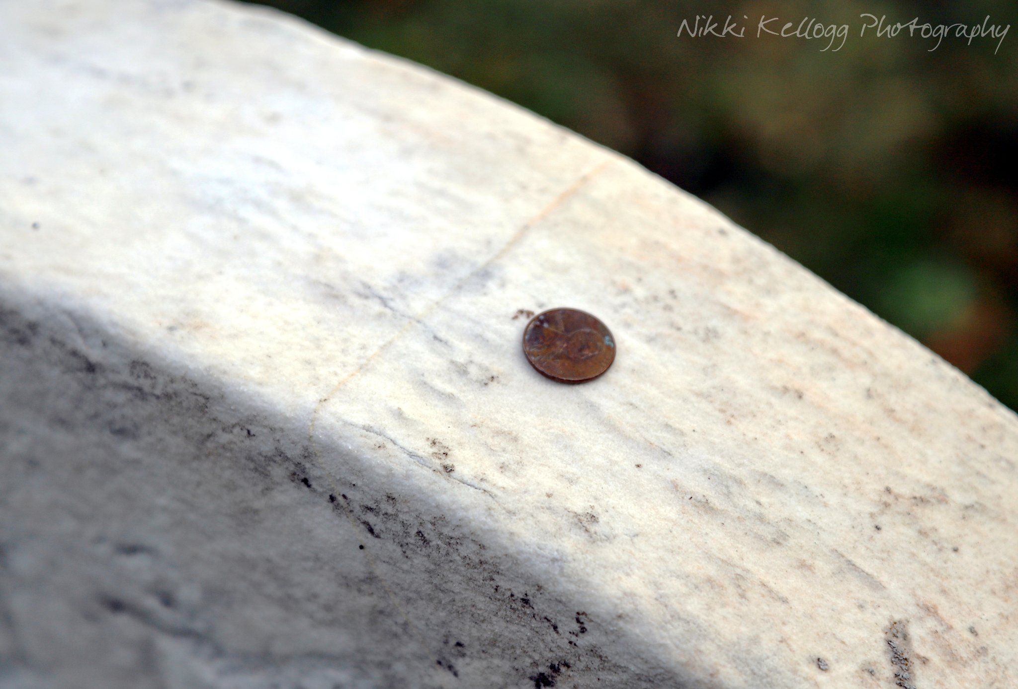 Gravestone Coins - Funeral Photography by Nikki Kellogg