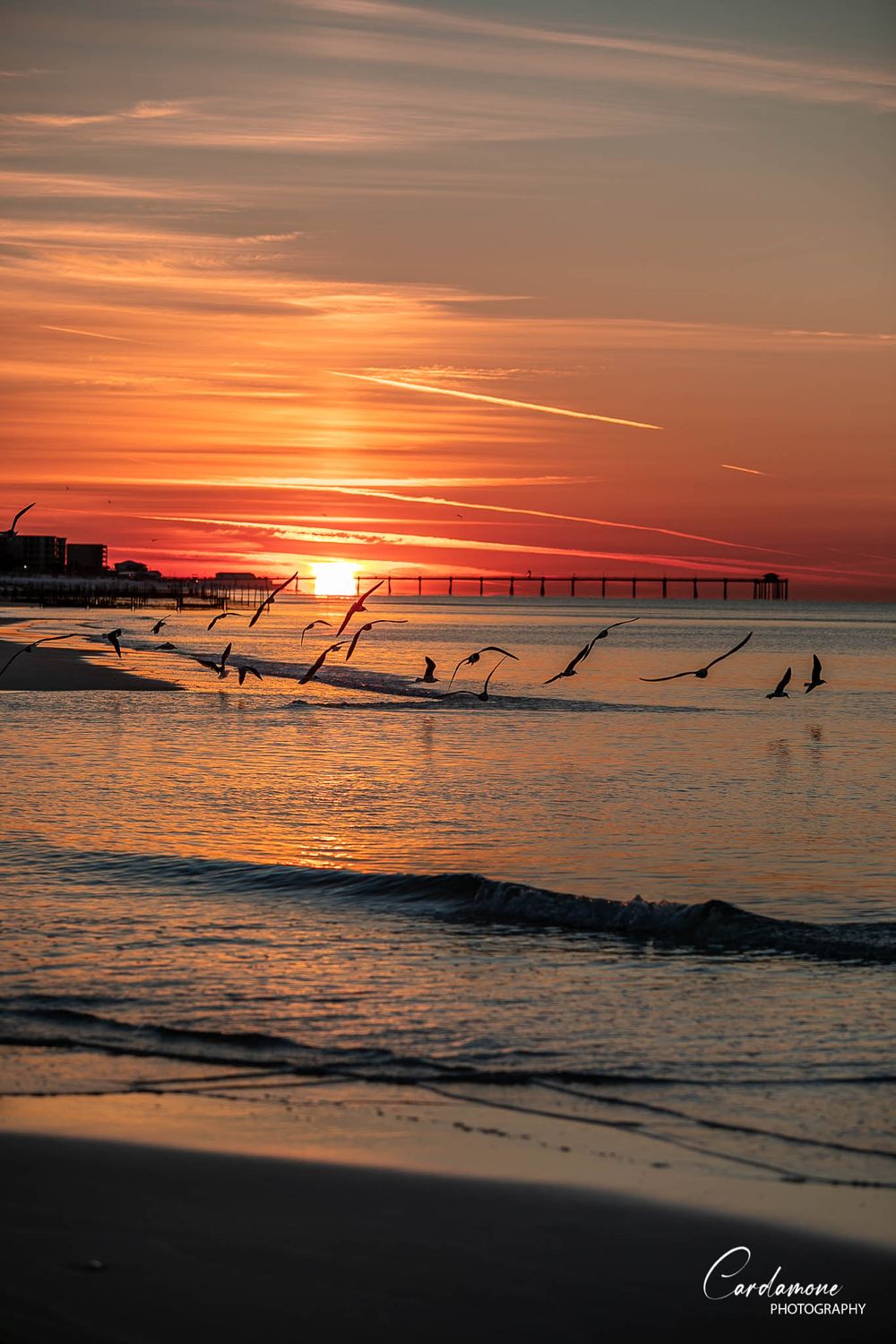 Beautiful Destin Florida... - Cardamone Photography