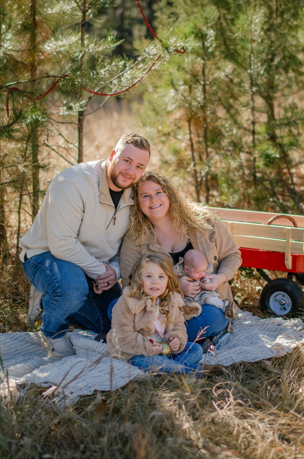 Holiday Mini Sessions 2023 - Wild Wren Photography