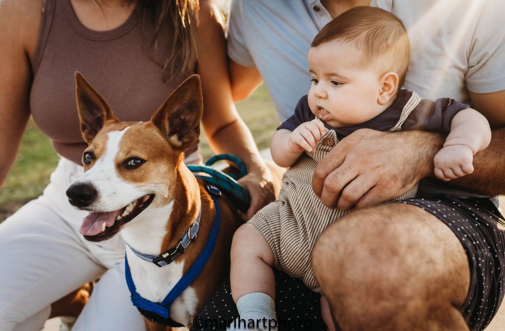 Gabriel 3 months - Mari Hart Photo