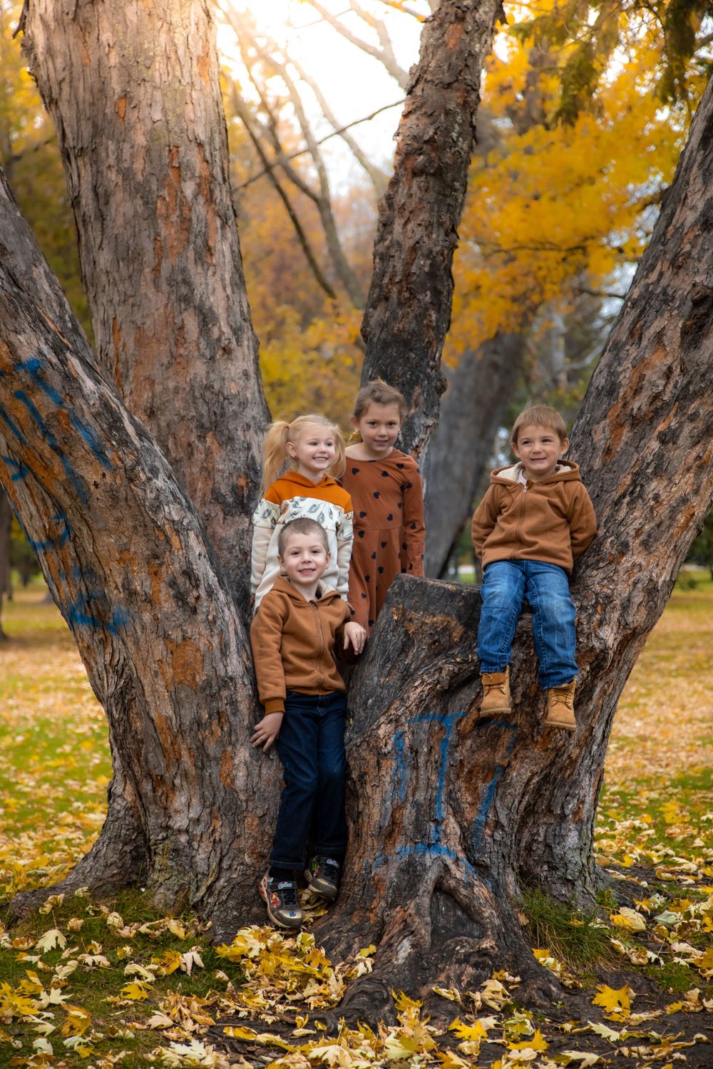 "Embracing Autumn: Your Guide to a Stunning Fall Photoshoot Session ...