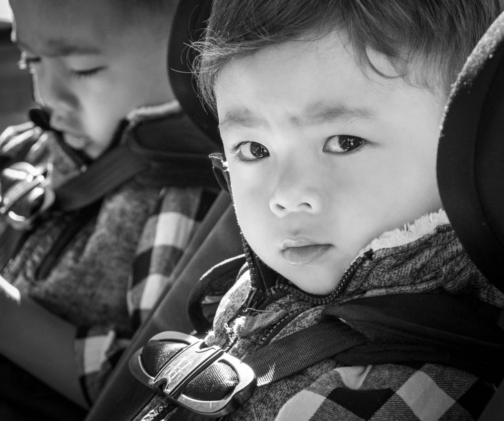 Twins - Susan Harding Photorgraphy