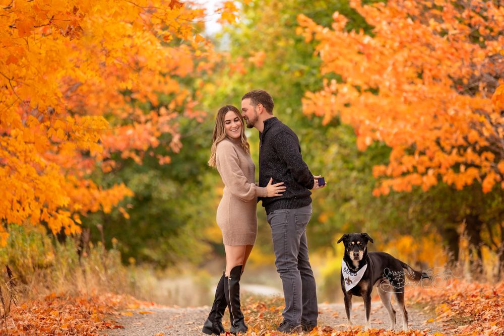 Most Beautiful Fall Photo Location in Brantford - Brantford Portrait ... Most Beautiful Fall Photo Location in Brantford - Brantford Portrait ...