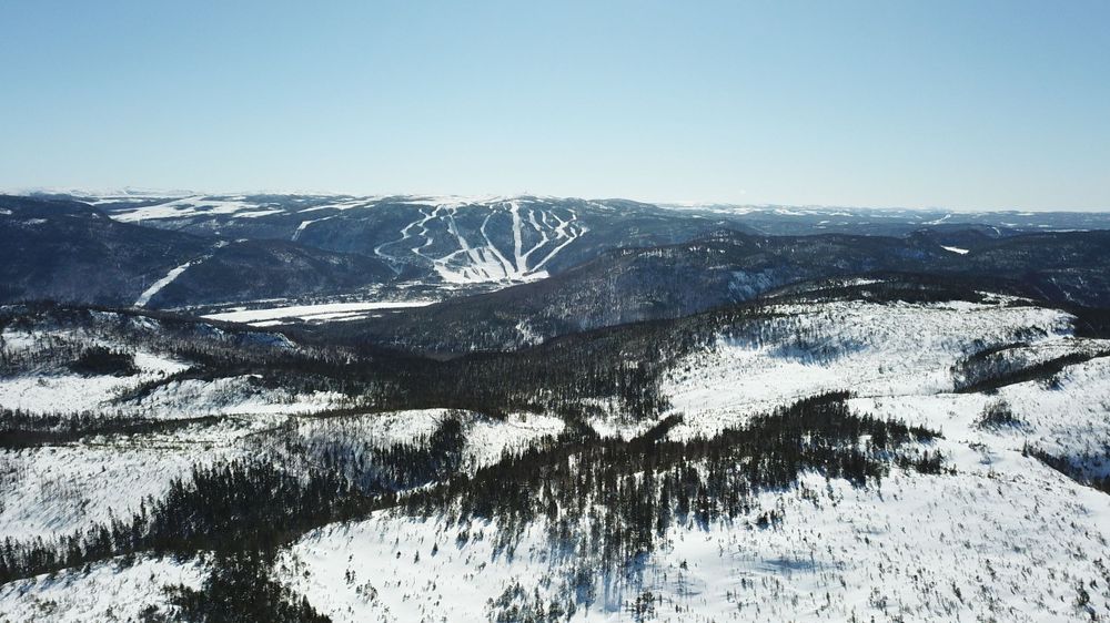 It's Launch day! - Dawn Leja Photography