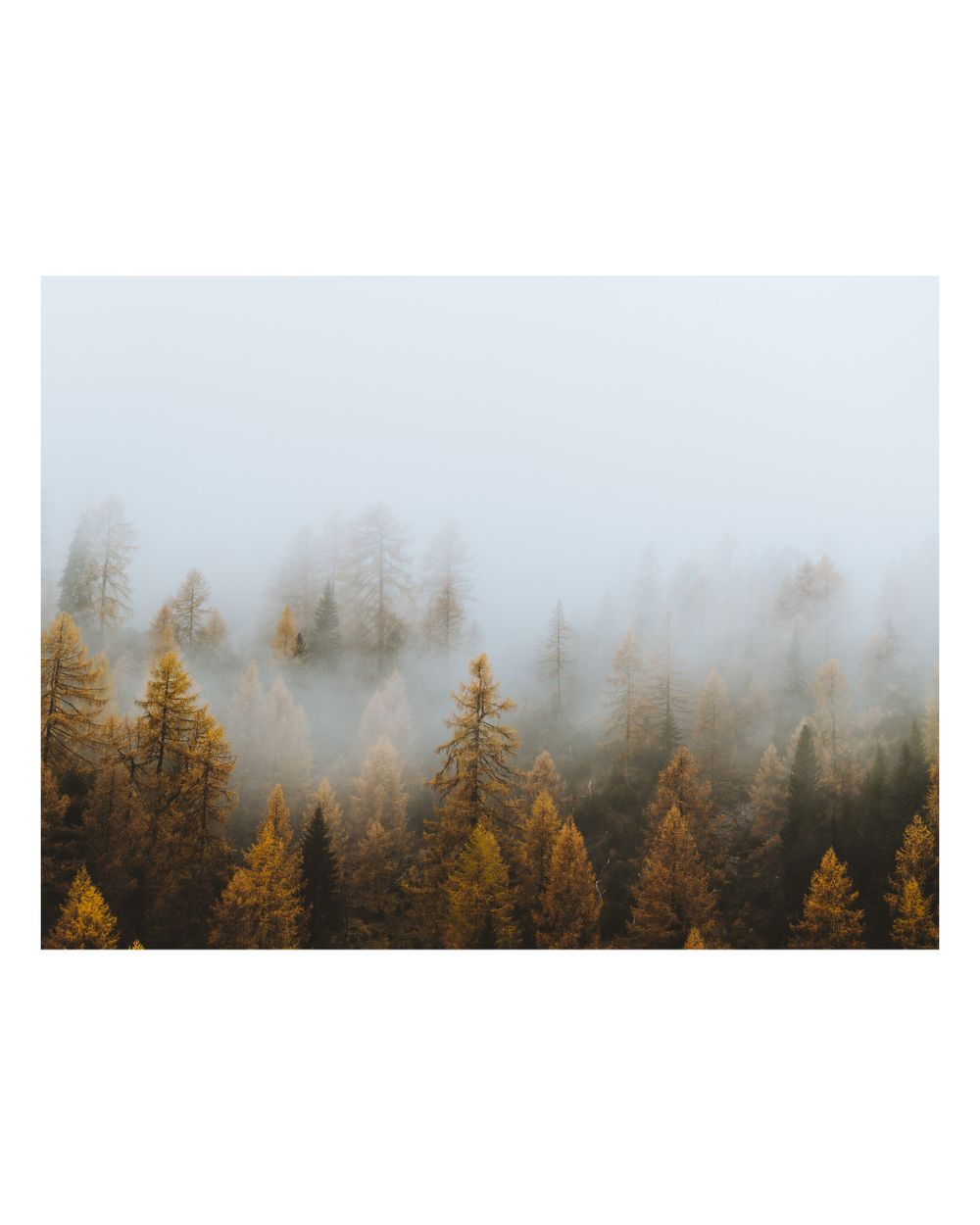 How To Get White Borders On Your Instagram Photos Straight From ...