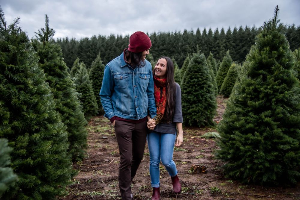 PNW Tree Farm Couples Session - Natalia Burrows Photography | Crawford ...