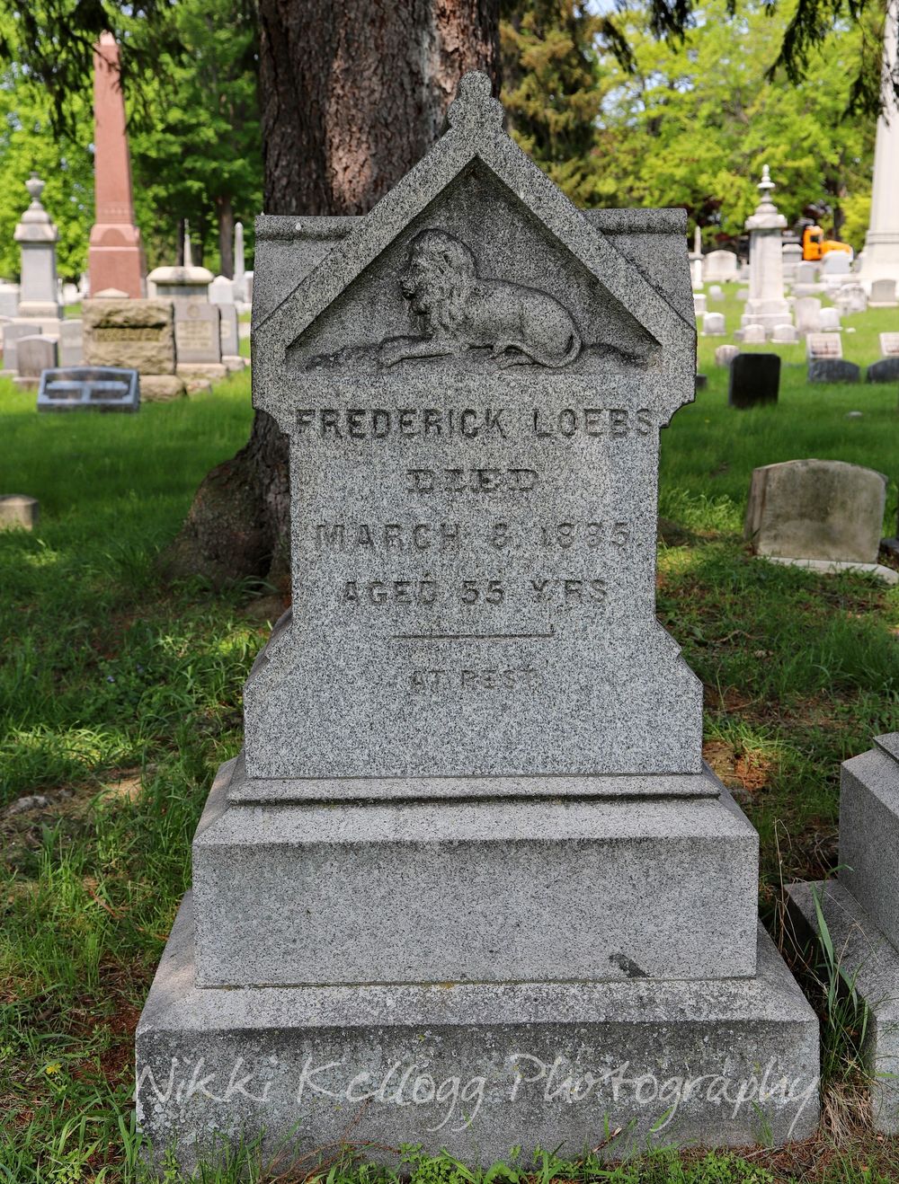 Headstone Lion - Funeral Photography by Nikki Kellogg