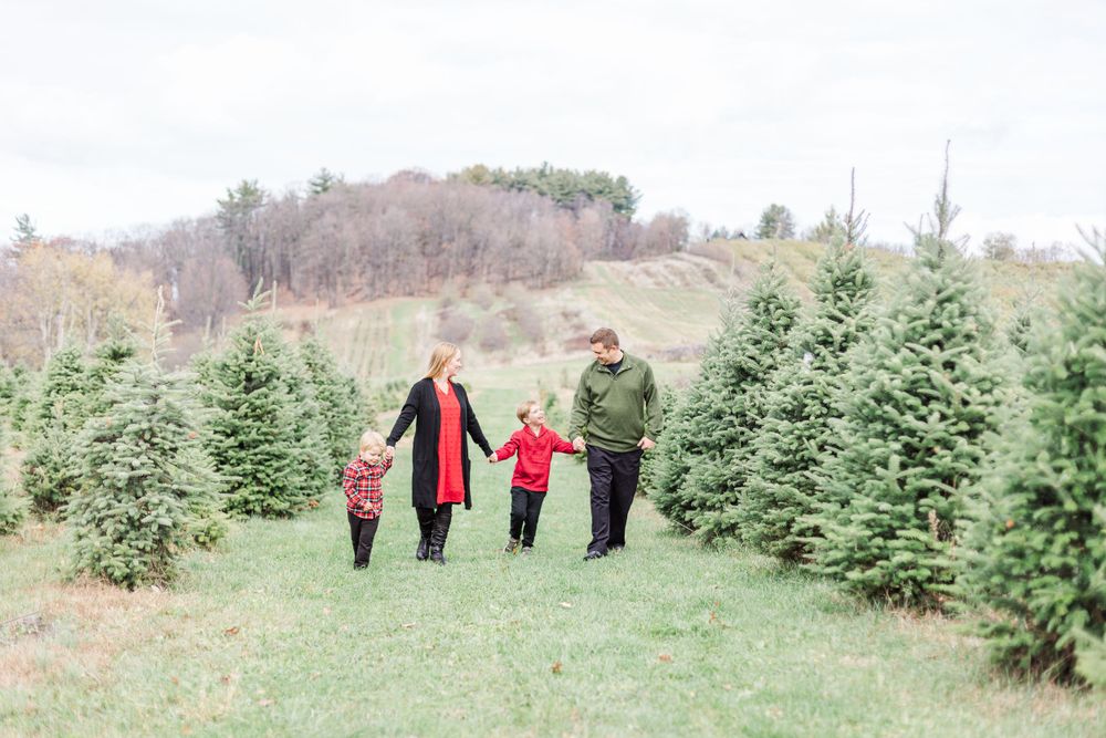 Holiday Snap Secrets: 7 Tips to Perfect Your Cell Phone Family Photos ...